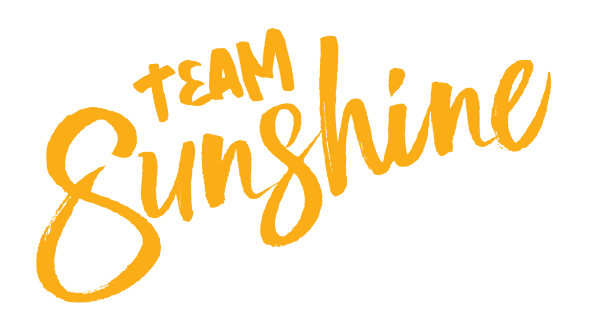Our Installation Process - Team Sunshine